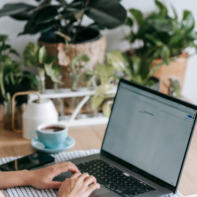 Canvas Lockdown Browser 1 Spot For Defeating Online Exams